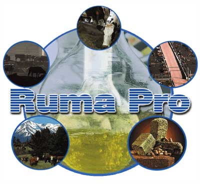 Ruma Pro Home Page